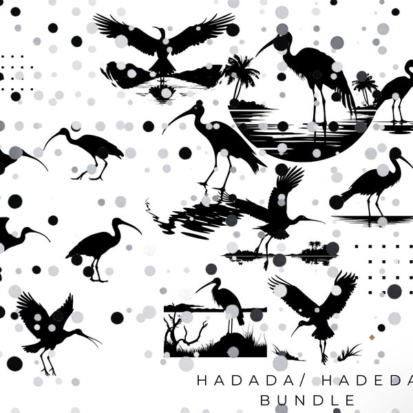 Hadeda - Etsy