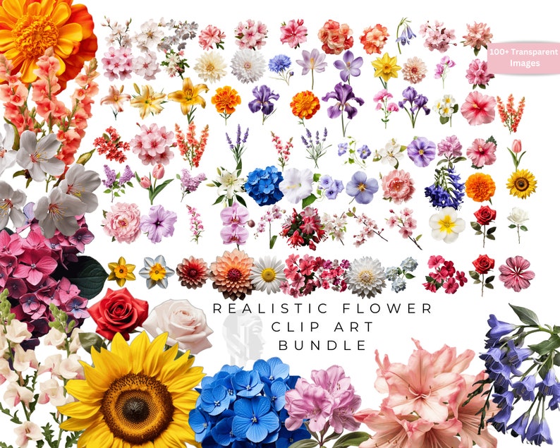 Realistic Flower Clipart PNG Bundle Over 100 Images! - Etsy