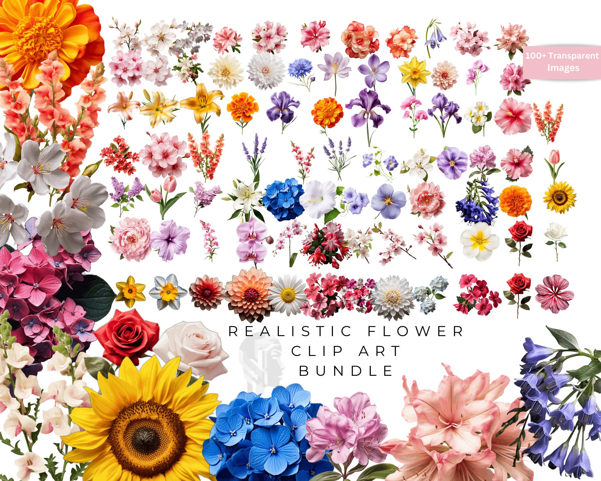 Realistic Flower Clipart PNG Bundle Over 100 Images! - Etsy