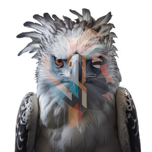 Realistic Birds of Prey Clipart Bundle of 35! - Etsy