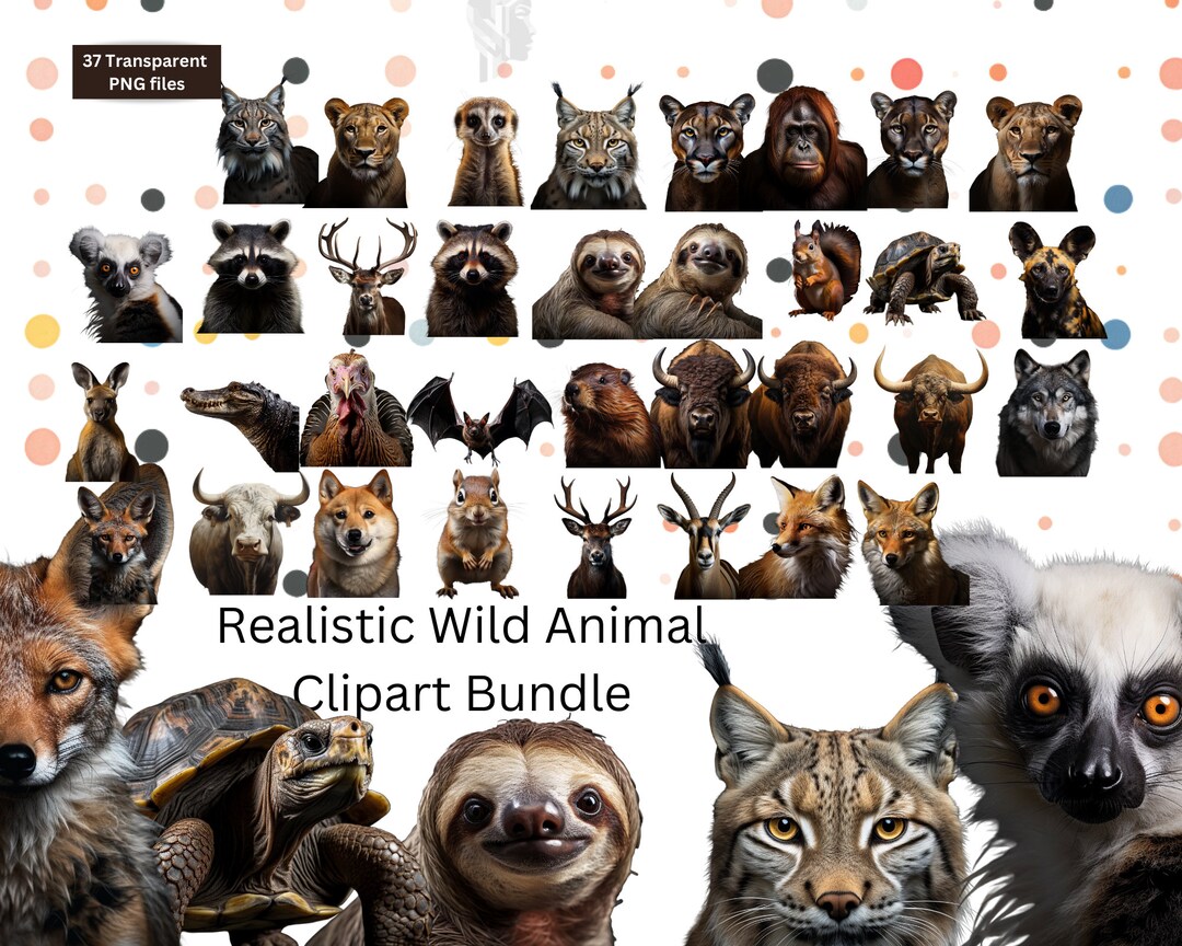 Realistic Wild Animal Clipart PNG Bundle Part 2! PNG Bundle of 35 - Etsy