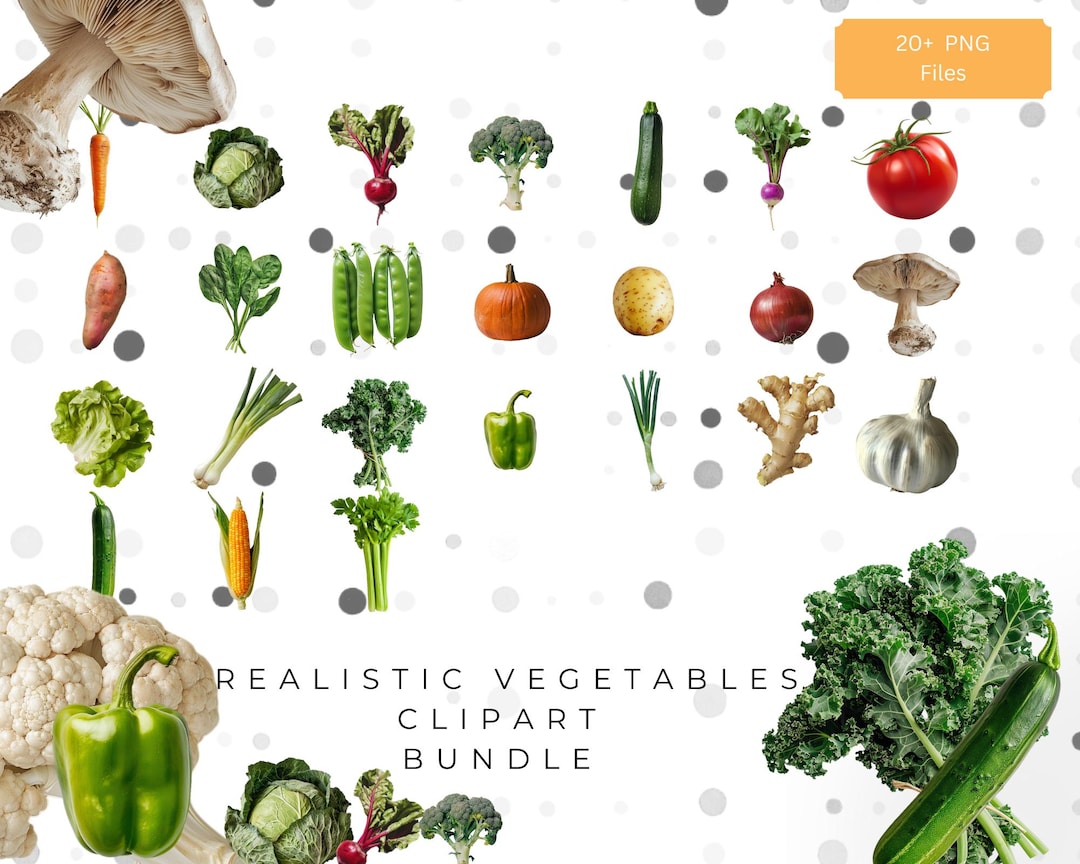 Realistic Vegetables Clipart PNG Bundle - Etsy
