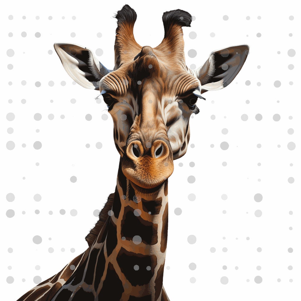 Realistic Wild Animal Clipart PNG Bundle 20 Different Animals - Etsy