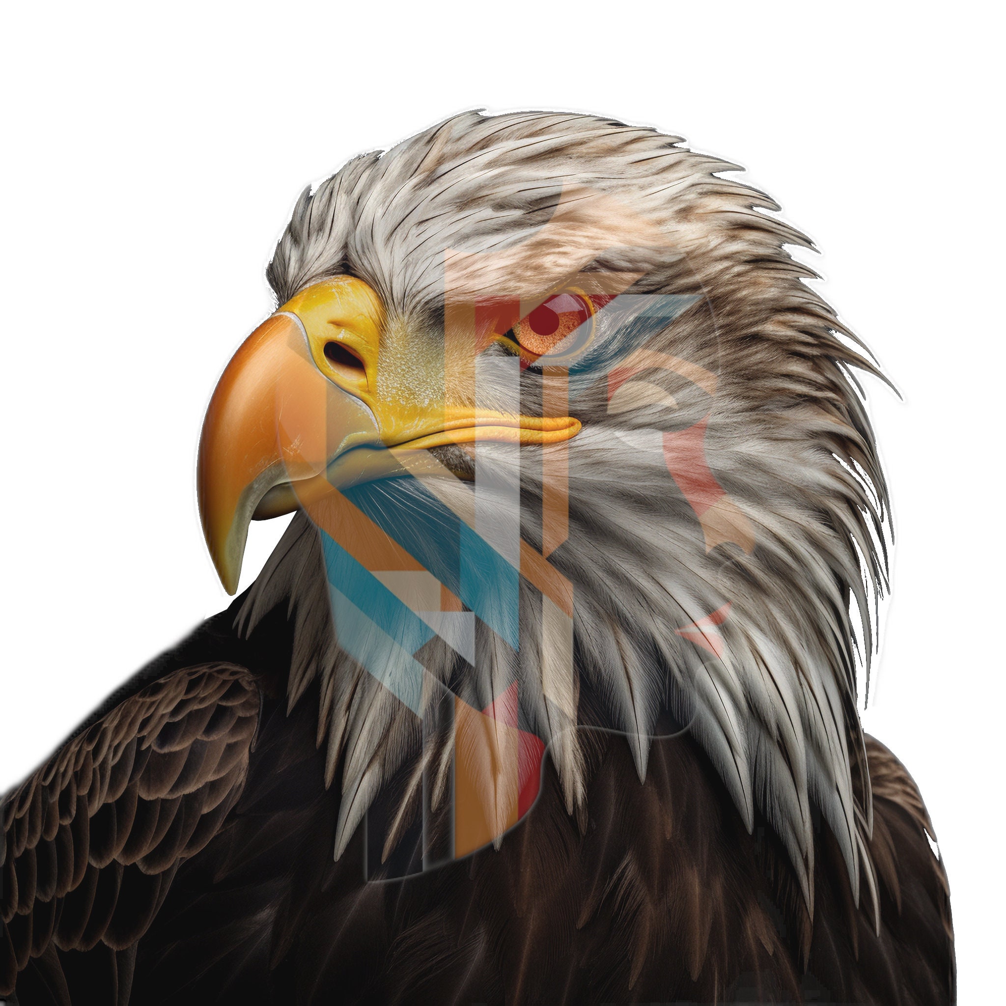 Realistic Birds of Prey Clipart Bundle of 35! - Etsy