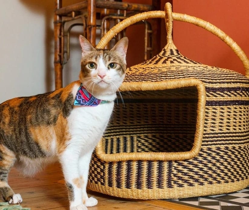 Rustic Cute Pet Bed Handwoven Bedgister for Cat Comfortable Woven Cat ...
