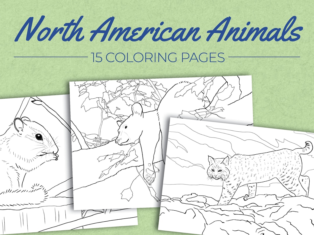 North American Animals Coloring Pages - 15 Pictures to Download and ...