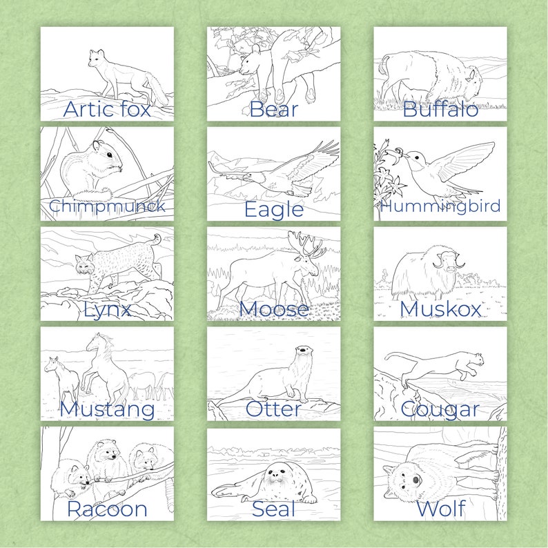 North American Animals Coloring Pages - 15 Pictures to Download and ...