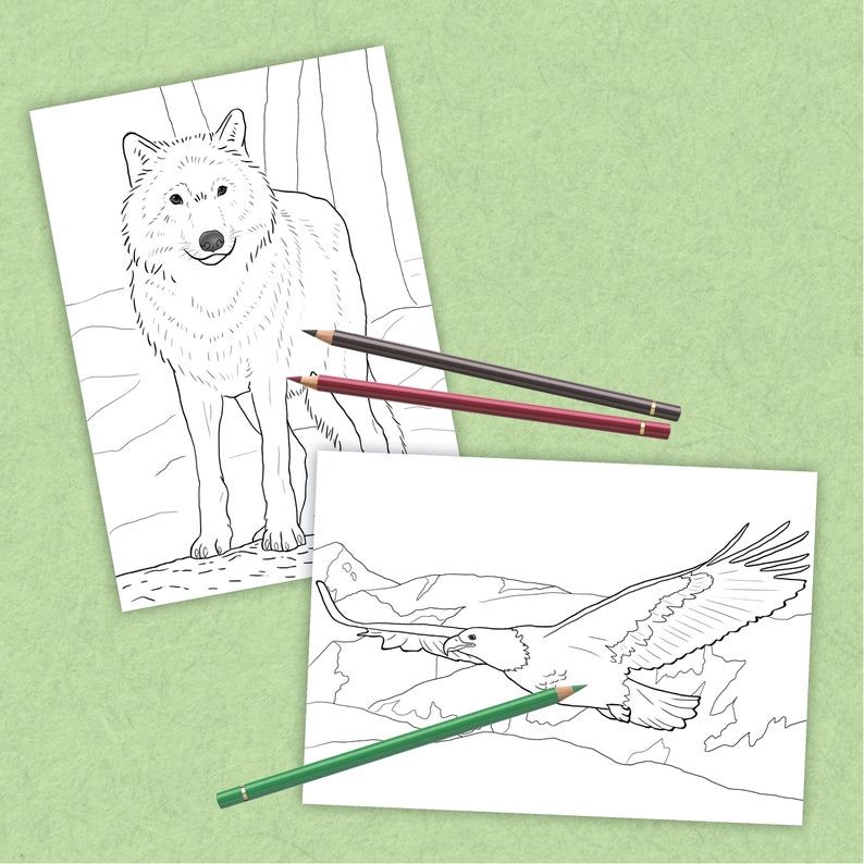 North American Animals Coloring Pages - 15 Pictures to Download and ...