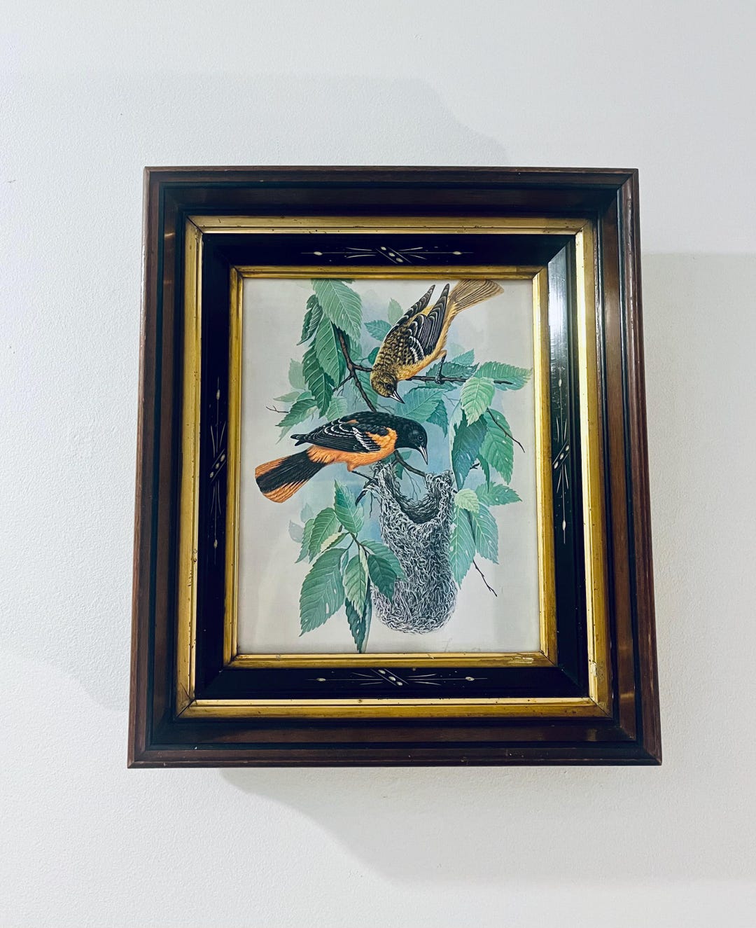 Antique Oriole Lithograph in Ornate Wood Frame, Baltimore Oriole Lithograph Art - Etsy
