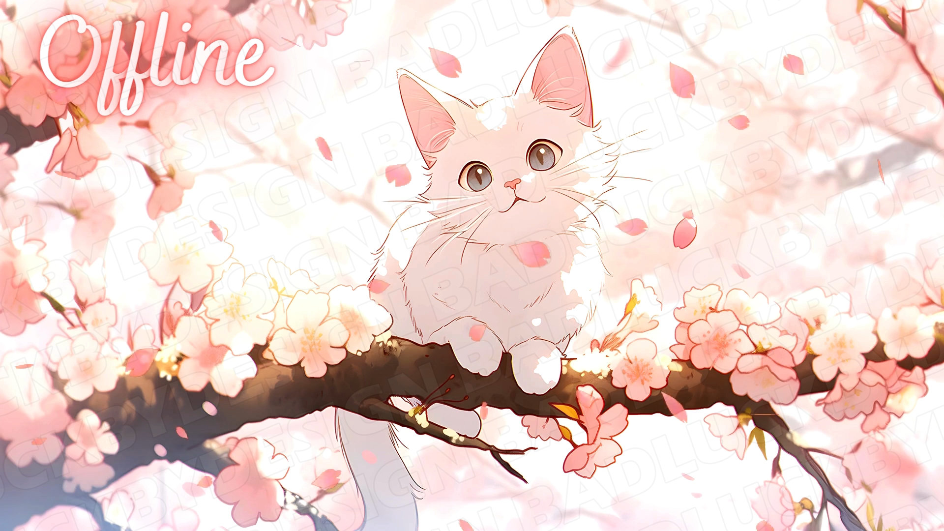 Cherry Blossom White Cat Animated Stream Scenes Cute Kitten Floral ...