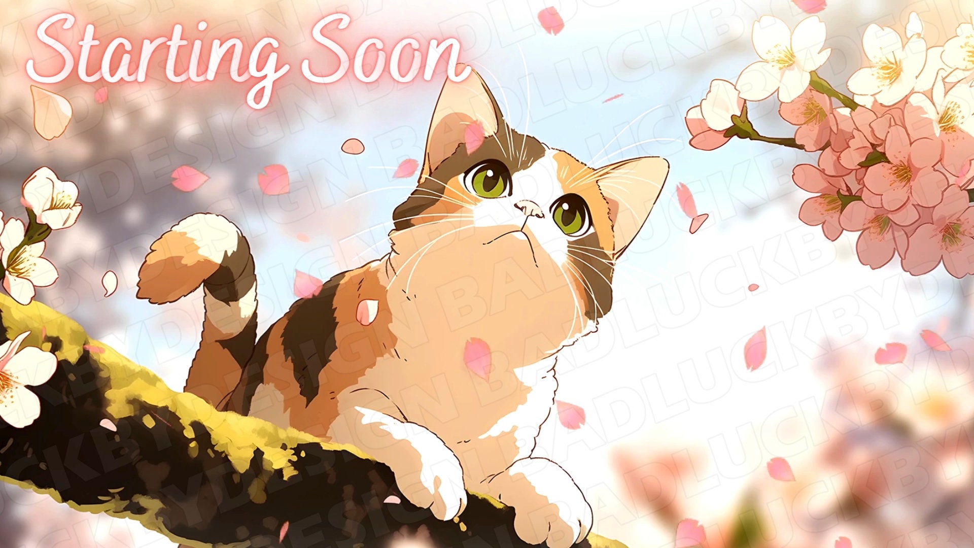 Animated Calico Cat Stream Scenes - Cherry Blossom Twitch Scenes ...