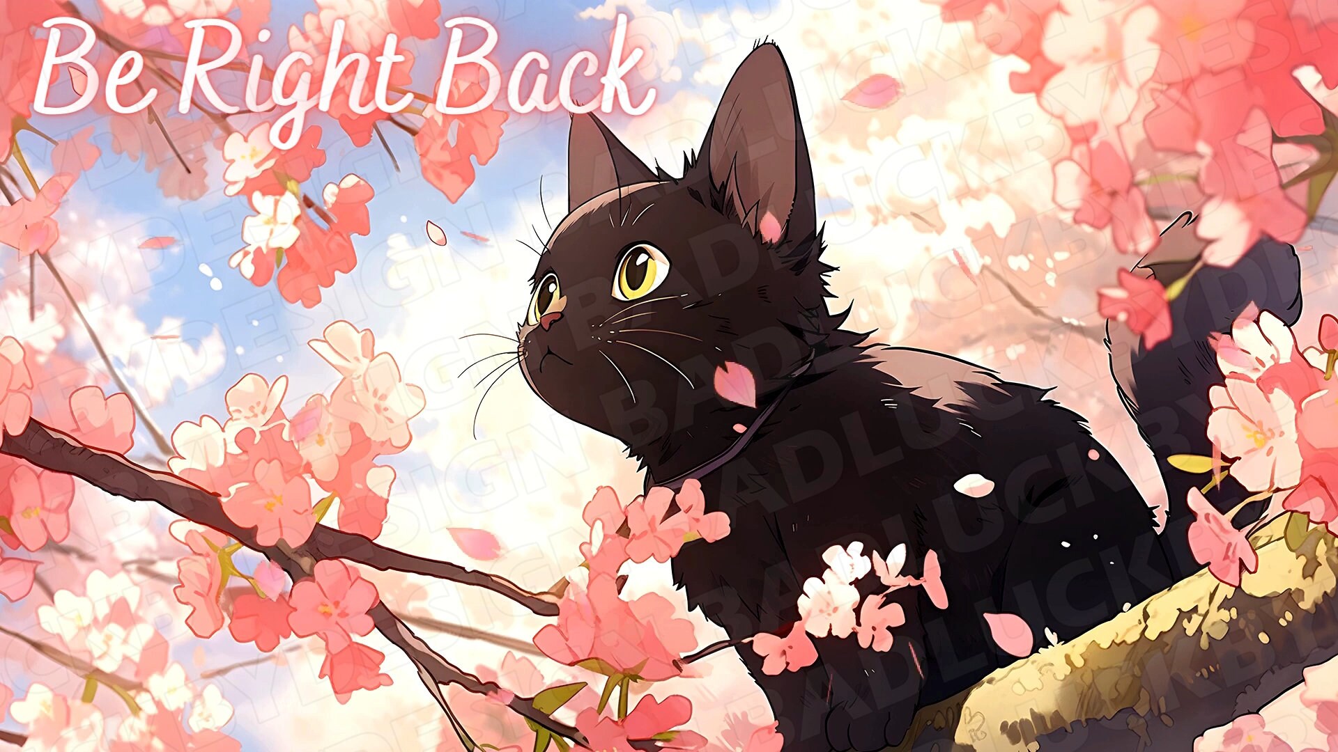 Cherry Blossom Black Cat Animated Stream Scenes Cute Kitten Floral ...