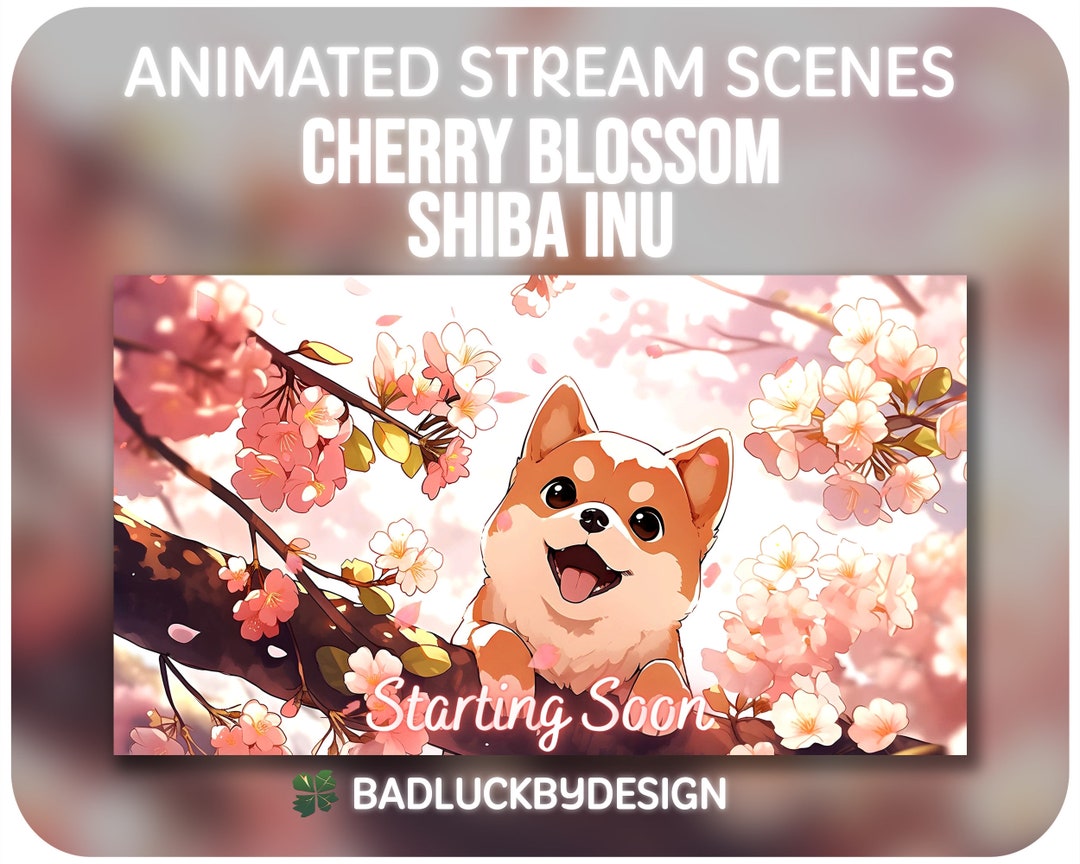 Animated Shiba Puppy Stream Scenes - Cherry Blossom Twitch Screens ...