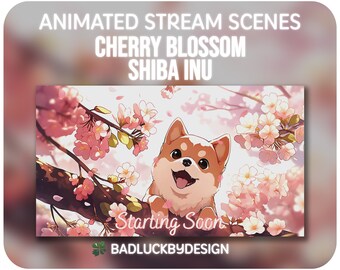 Twitch Starting Soon Screen Black Cat Cute Cat Twitch - Etsy