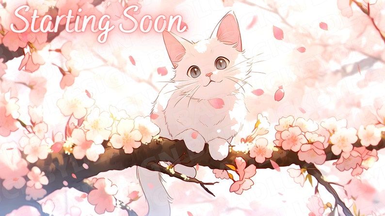Set of 5 Cherry Blossom Cat Animated Twitch Screens, Cute Black White ...