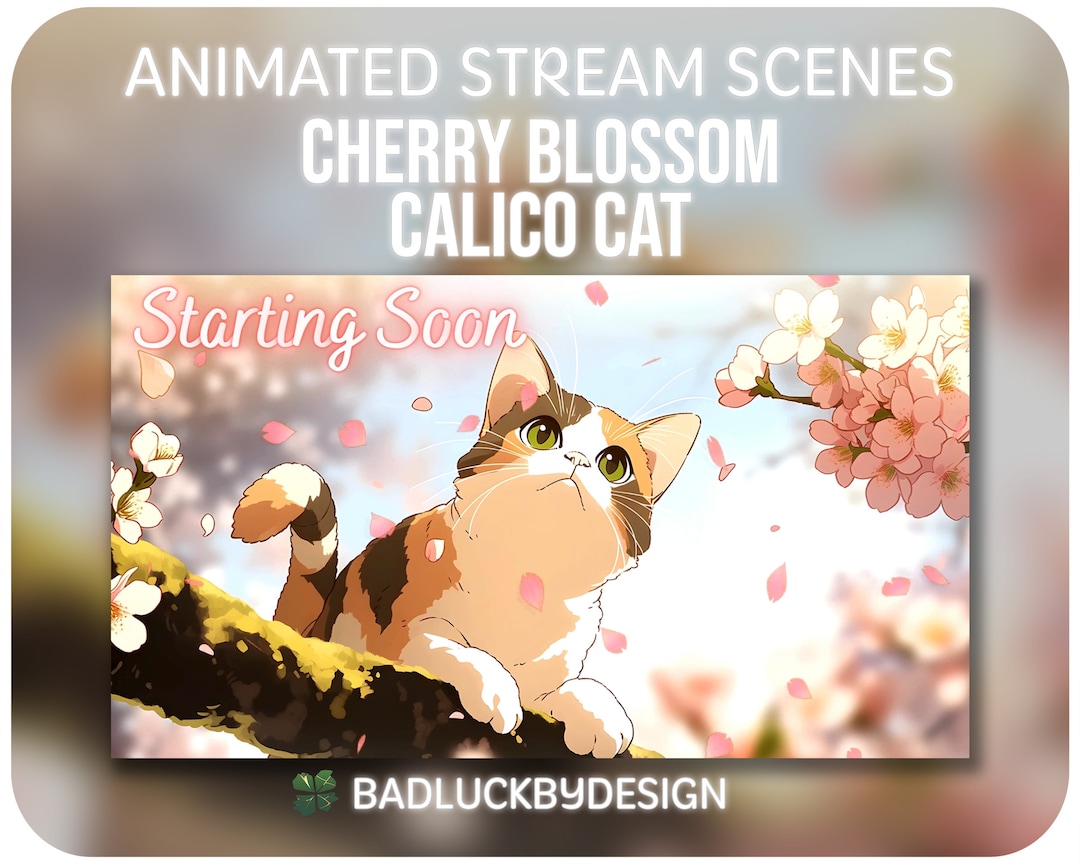 Animated Calico Cat Stream Scenes - Cherry Blossom Twitch Scenes ...