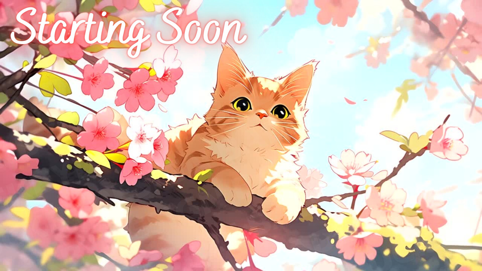 Cherry Blossom Kitty Series Orange Cat Animated Twitch Screens Cute ...