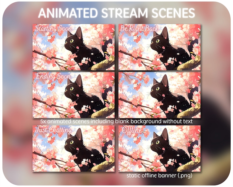 Cherry Blossom Black Cat Animated Stream Scenes Cute Kitten Floral Twitch Screens Pack Starting ...