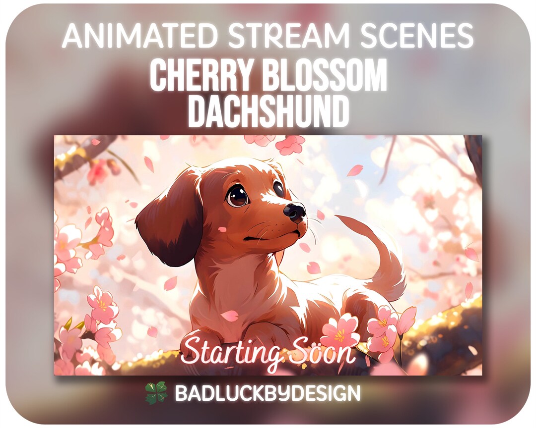 Dachshund Cherry Blossom Puppy Animated Stream Scenes | Cute Floral ...