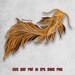 Multilayer Koi Fish Laser Cut Asia Koi Layered SVG Koi Paper Cut Fish ...