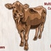 Multilayer Angus Cow Laser Cut File 3D Layered Cow Layered Dxf Dwg ...
