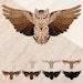 Multilayer Owl Laser Cut File Owl Mandala SVG Layer Owl CNC Multilayer ...