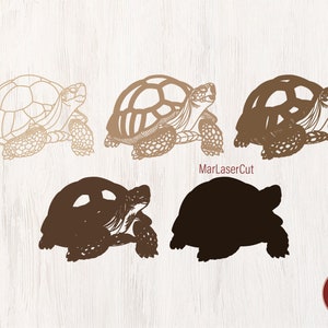 Multilayer Tortoise Laser Cut 3D File SVG Instant Download Tortoise ...