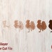 Multilayer Rooster - Chicken Laser Cut File 3D Layered Rooster Layered ...