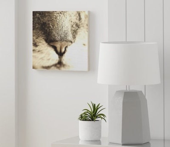 Kitten Nose Abstract Portrait Art Wood Canvas - Etsy