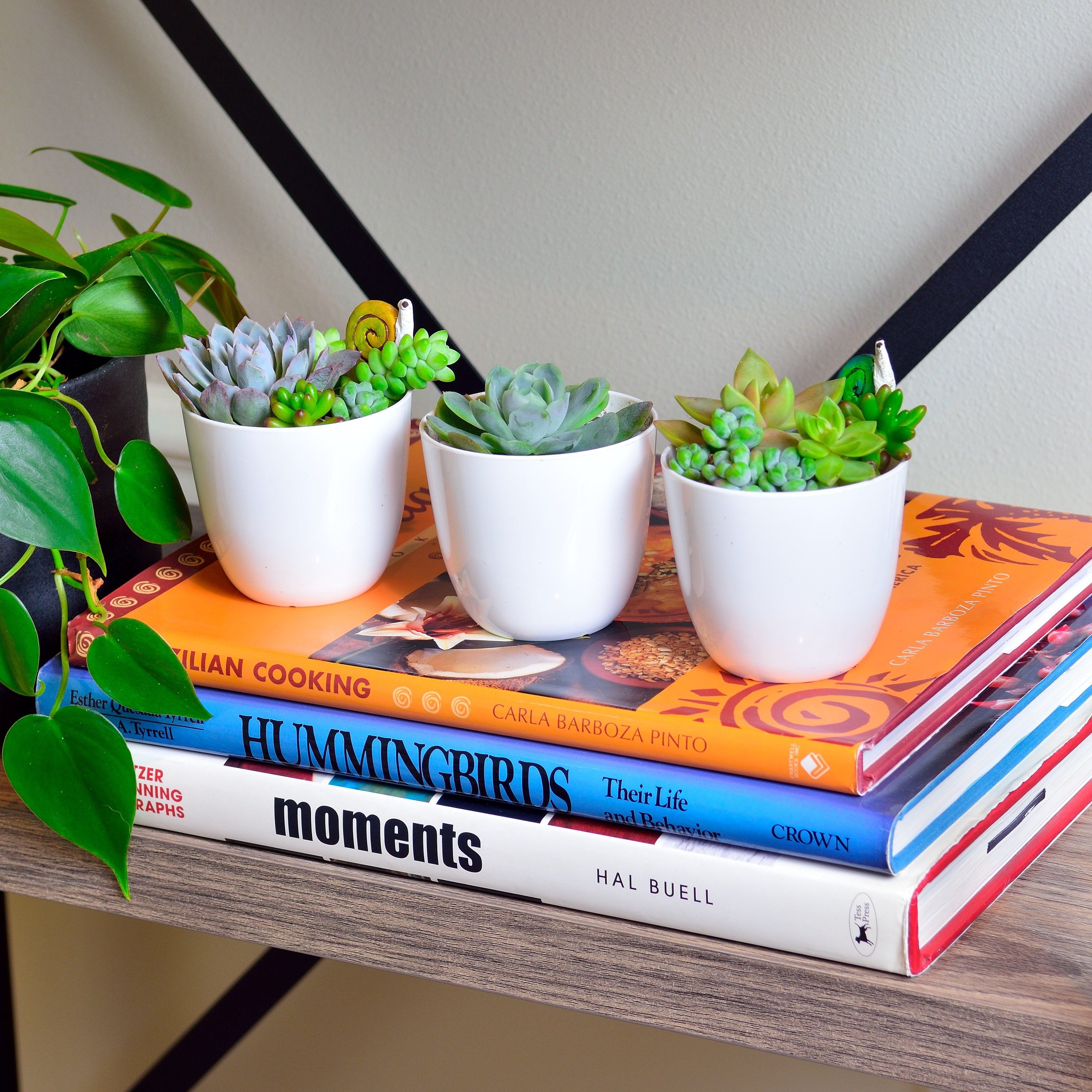 24 Pack 2 Inch Mini Plastic Planters Indoor Flower Plant - Etsy