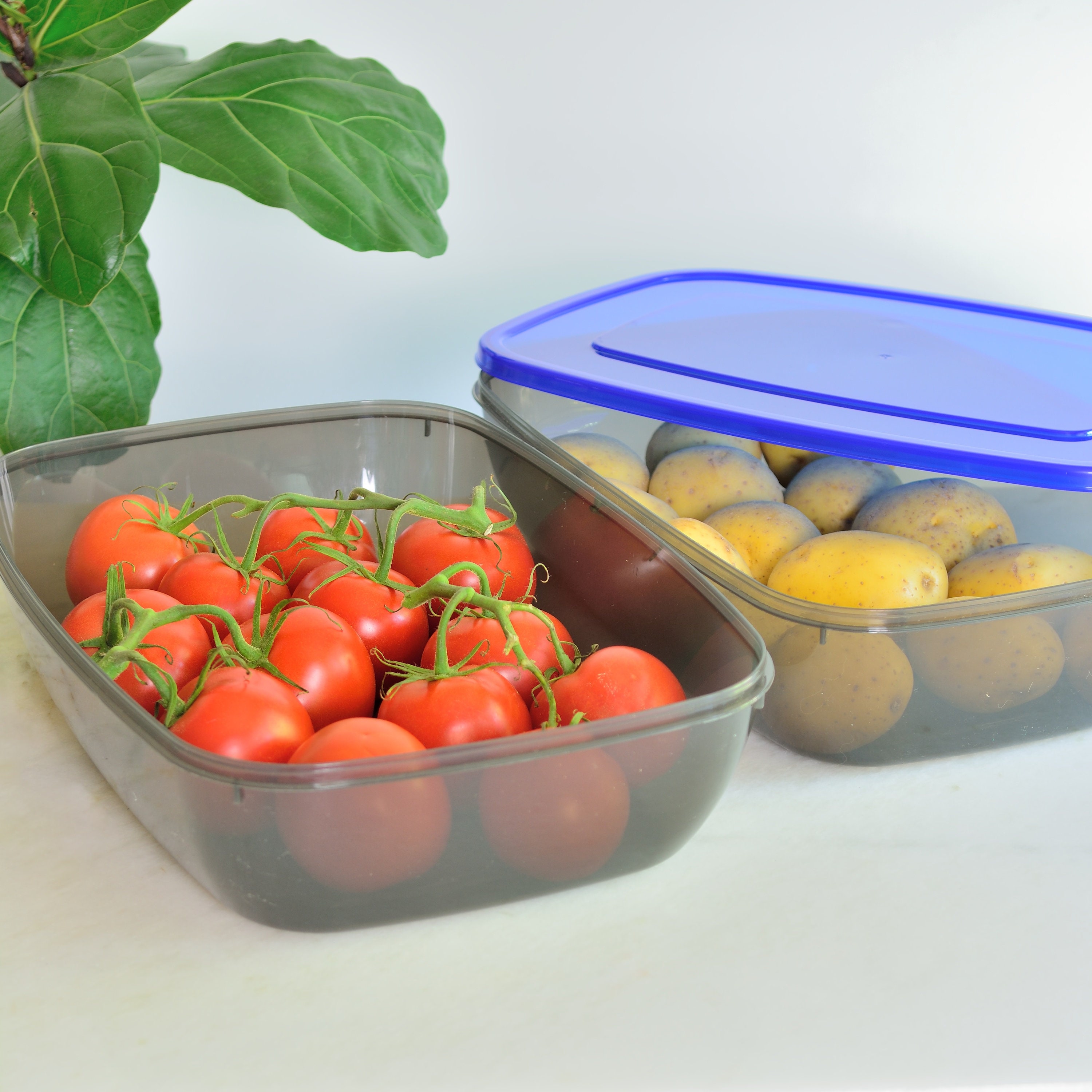 Youngever 2 Pack 1.5 Gallon Large Food Storage Container Boxes, Large ...