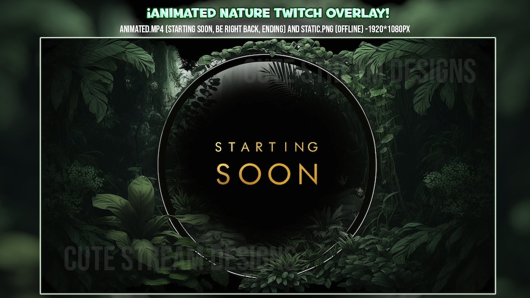 Twitch Overlay Animated Forest - Jungle Plants Stream Screens - Elevate ...
