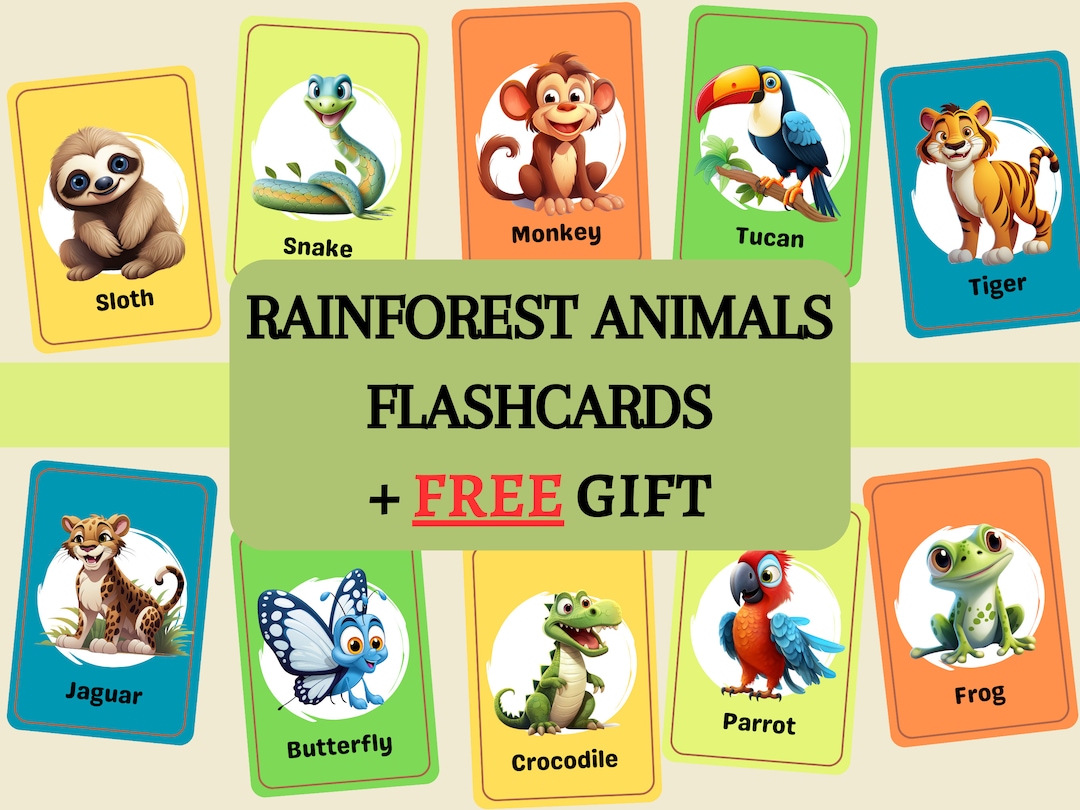 Printable Rainforest Animals Flashcards for Kids Set of 10 - Etsy