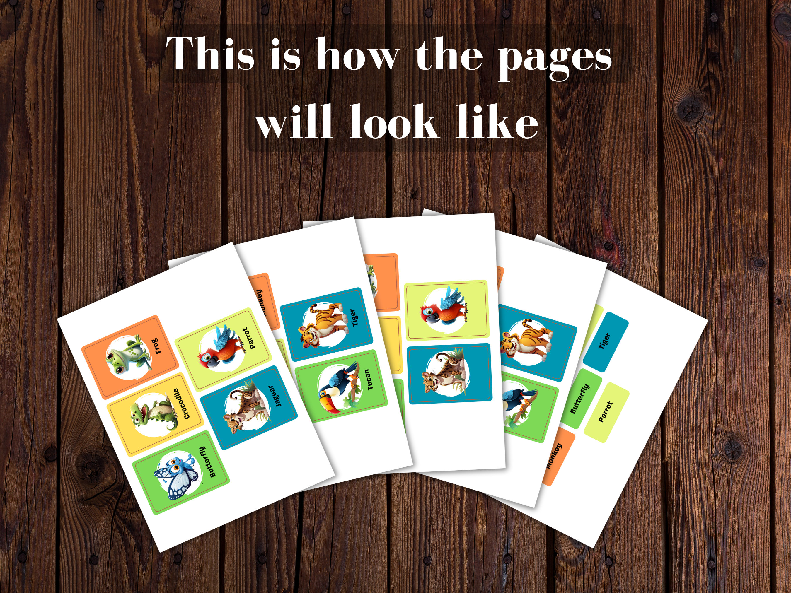 Printable Rainforest Animals Flashcards for Kids Set of 10 - Etsy