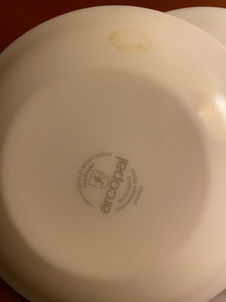 Retro Farmhouse Arcopal France Hearts and Geese Set of 2 Salad Plates ...