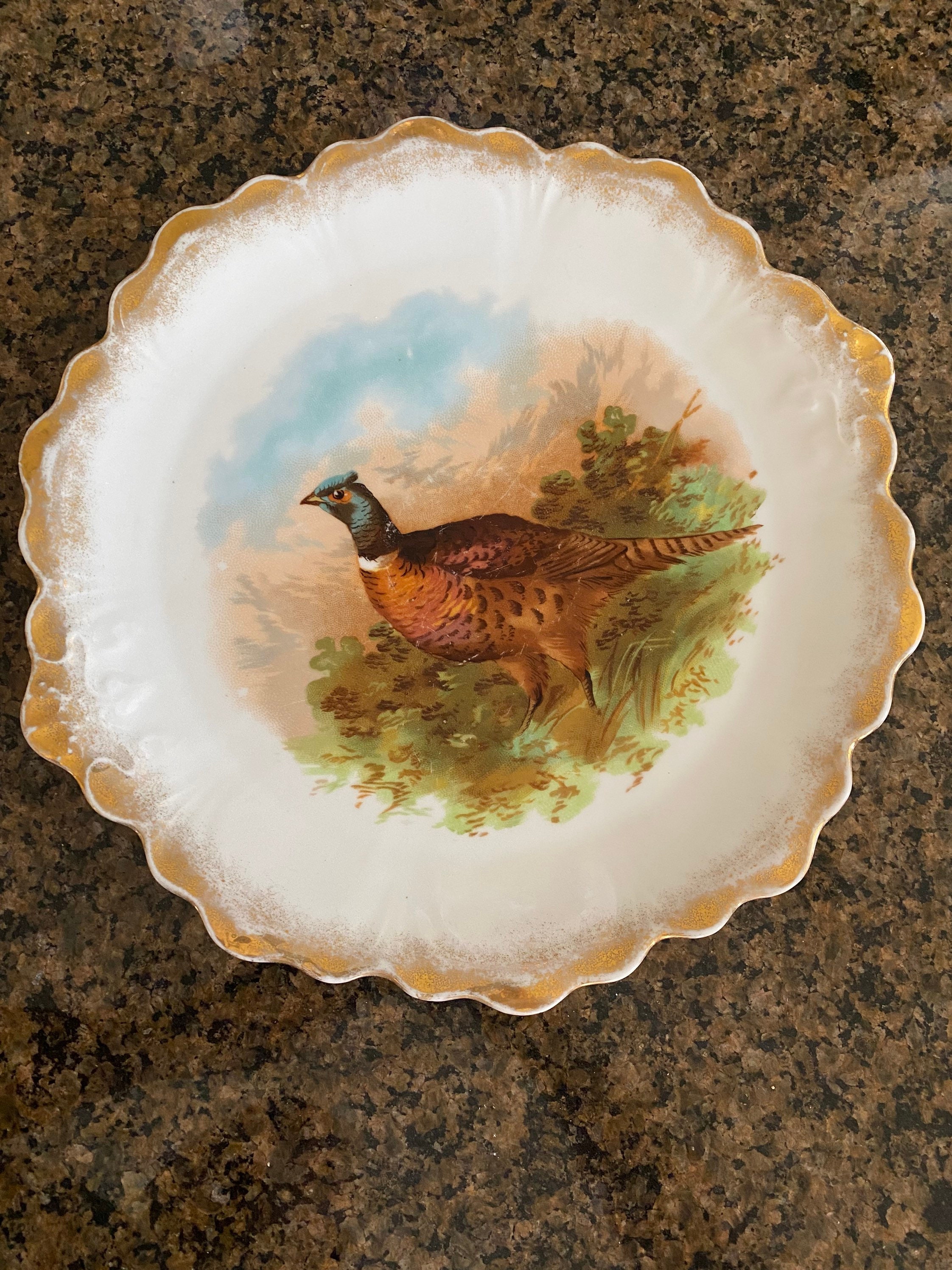 Eclectic Early 1900s Bavarian Decorative Pheasant Plate - Etsy
