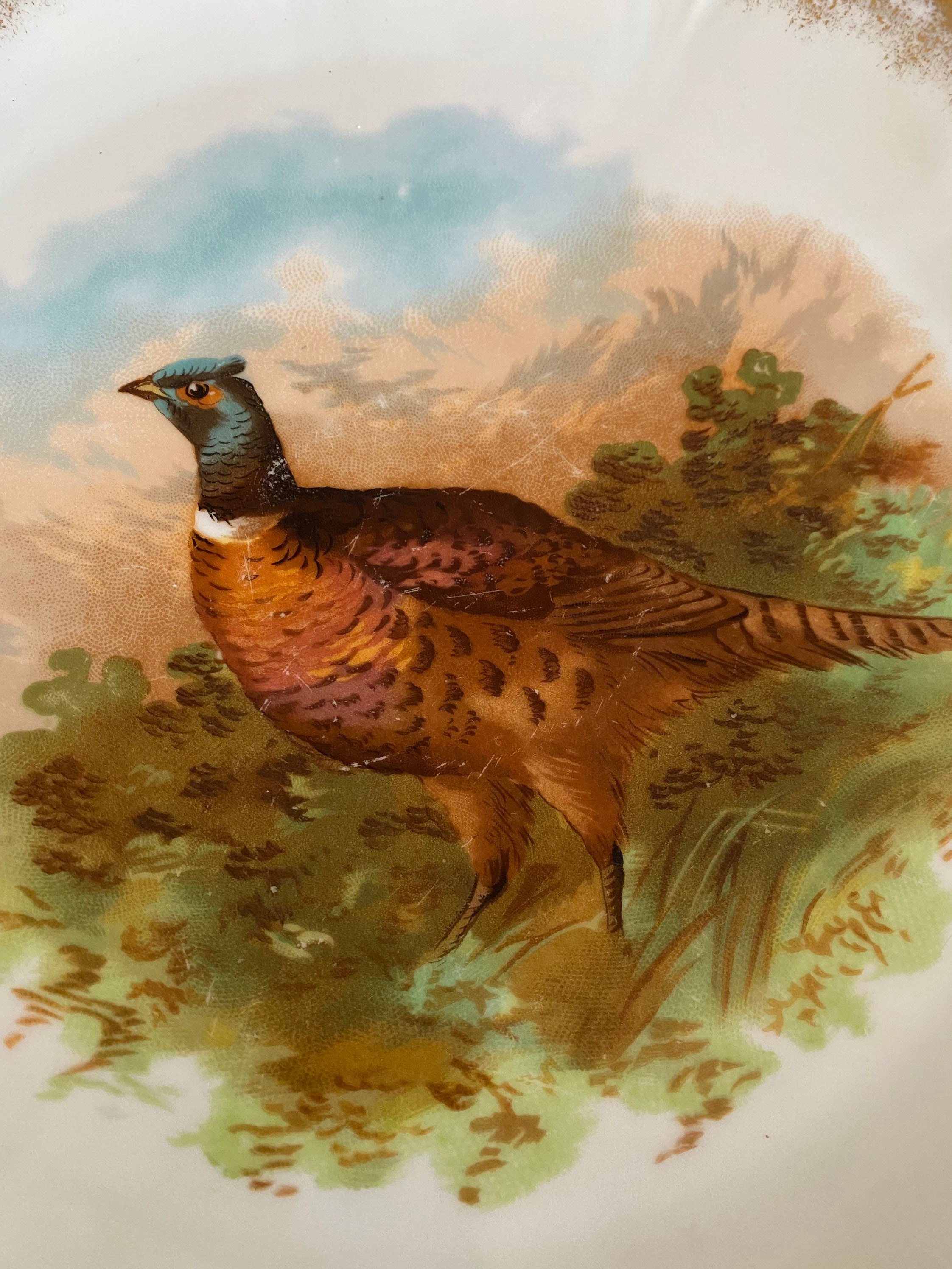 Eclectic Early 1900s Bavarian Decorative Pheasant Plate - Etsy
