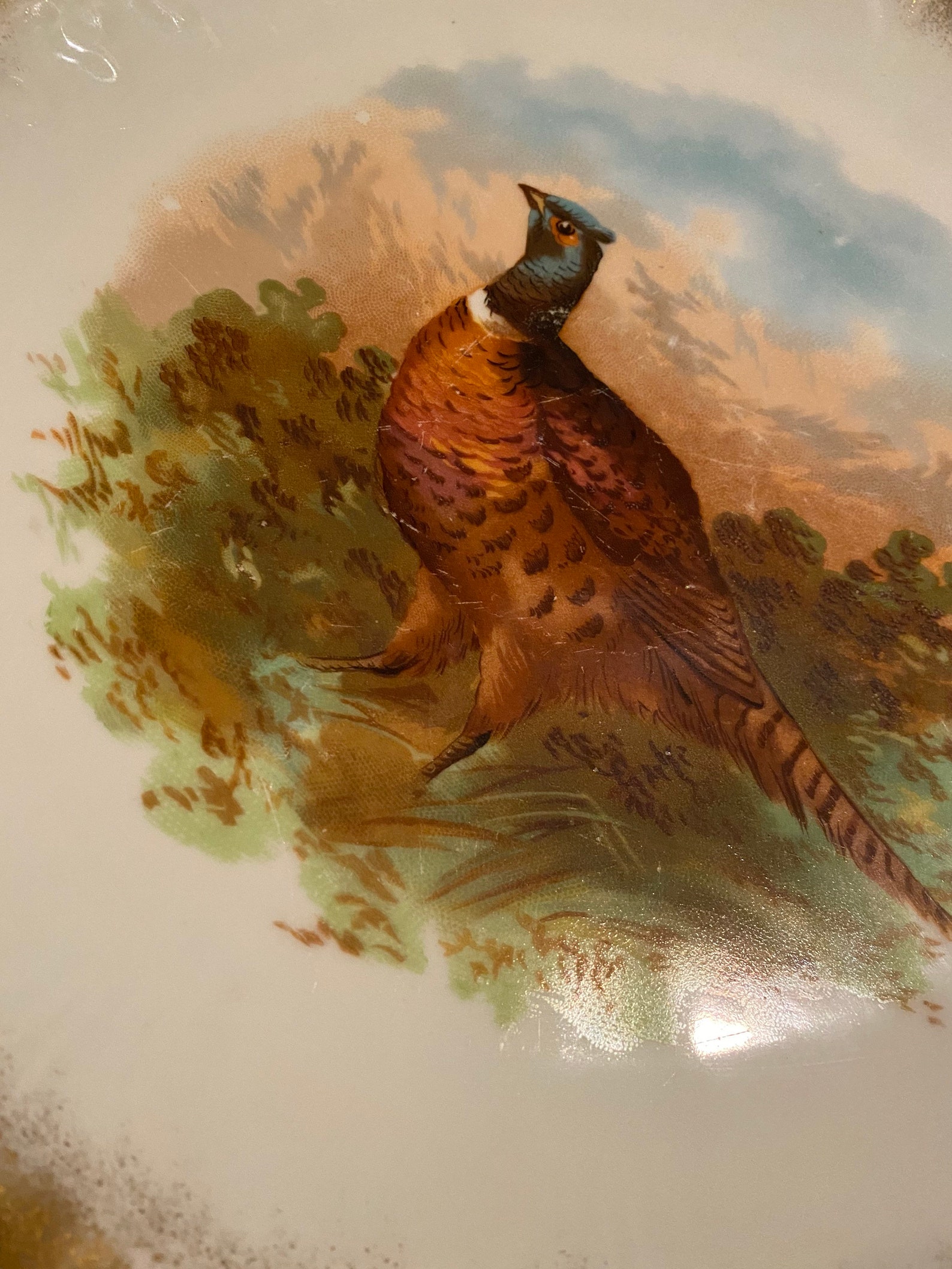 Eclectic Early 1900s Bavarian Decorative Pheasant Plate - Etsy