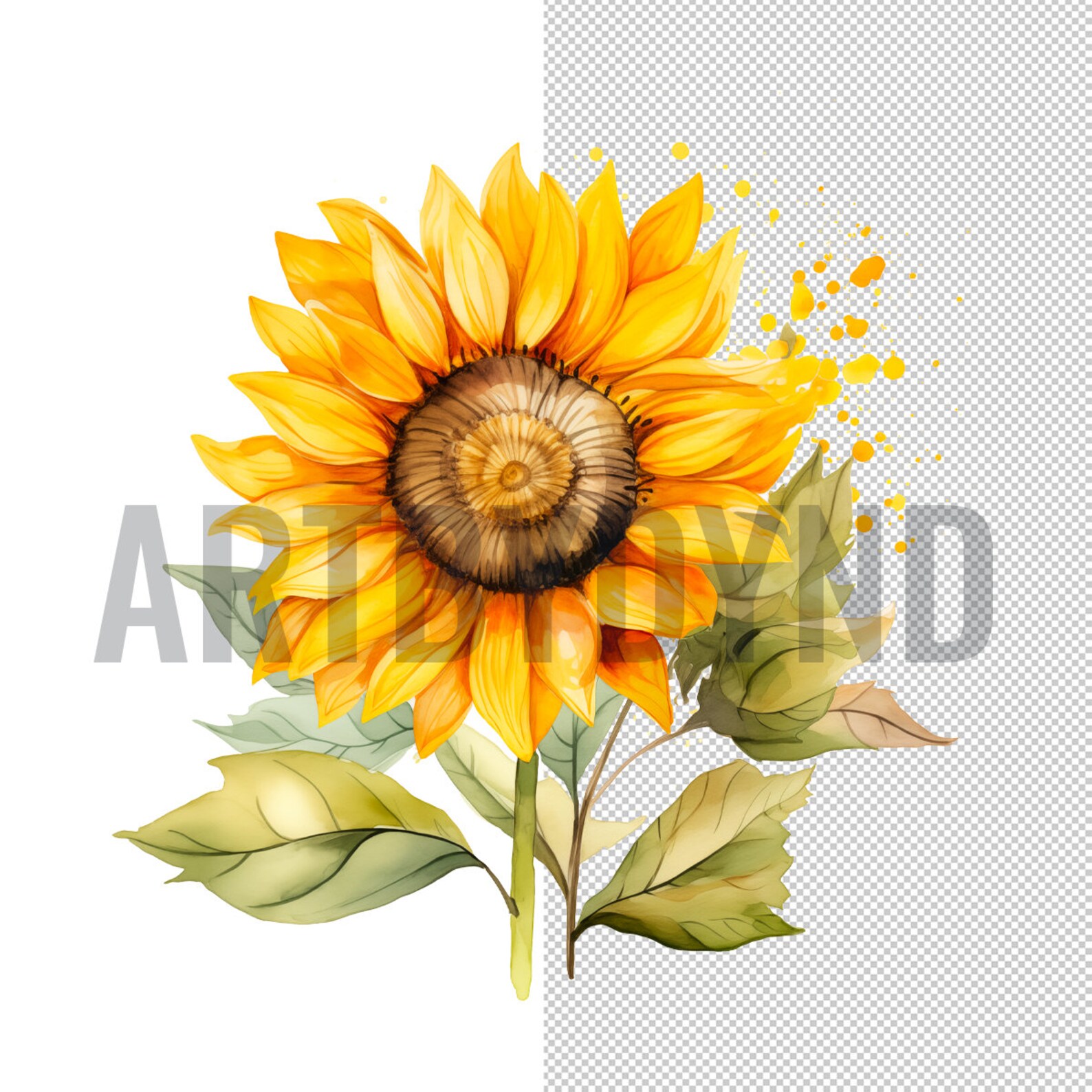 Sunflower Background Png Sublimation Design,sunflower Png, Hand Drawn ...