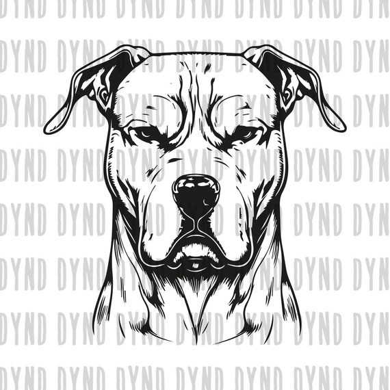 Pitbull Rapper Stencil