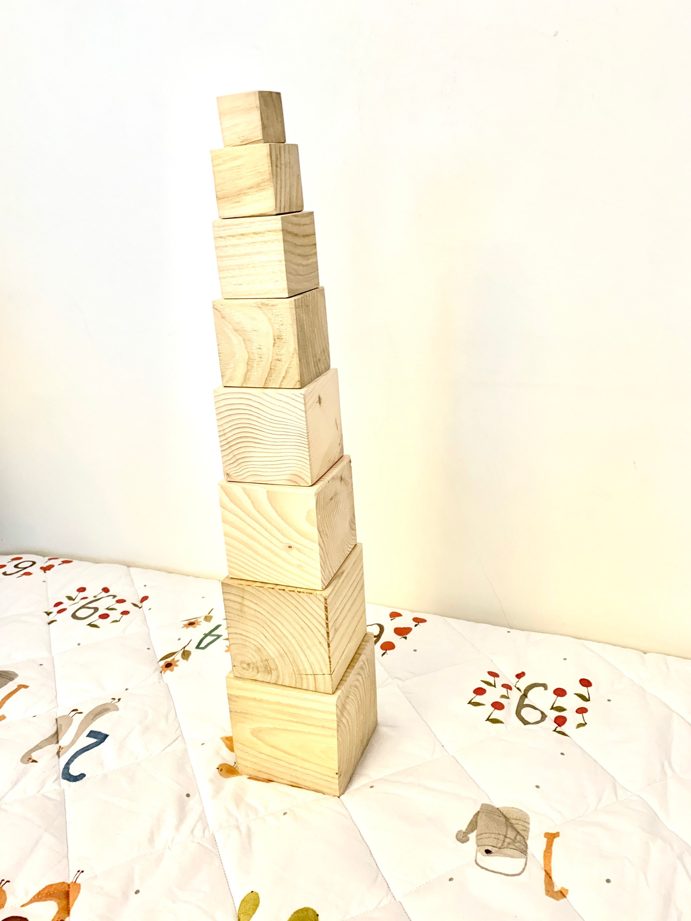 Montessori Pink Tower, Montessori Tower, Eight Steps Montesori Pink ...