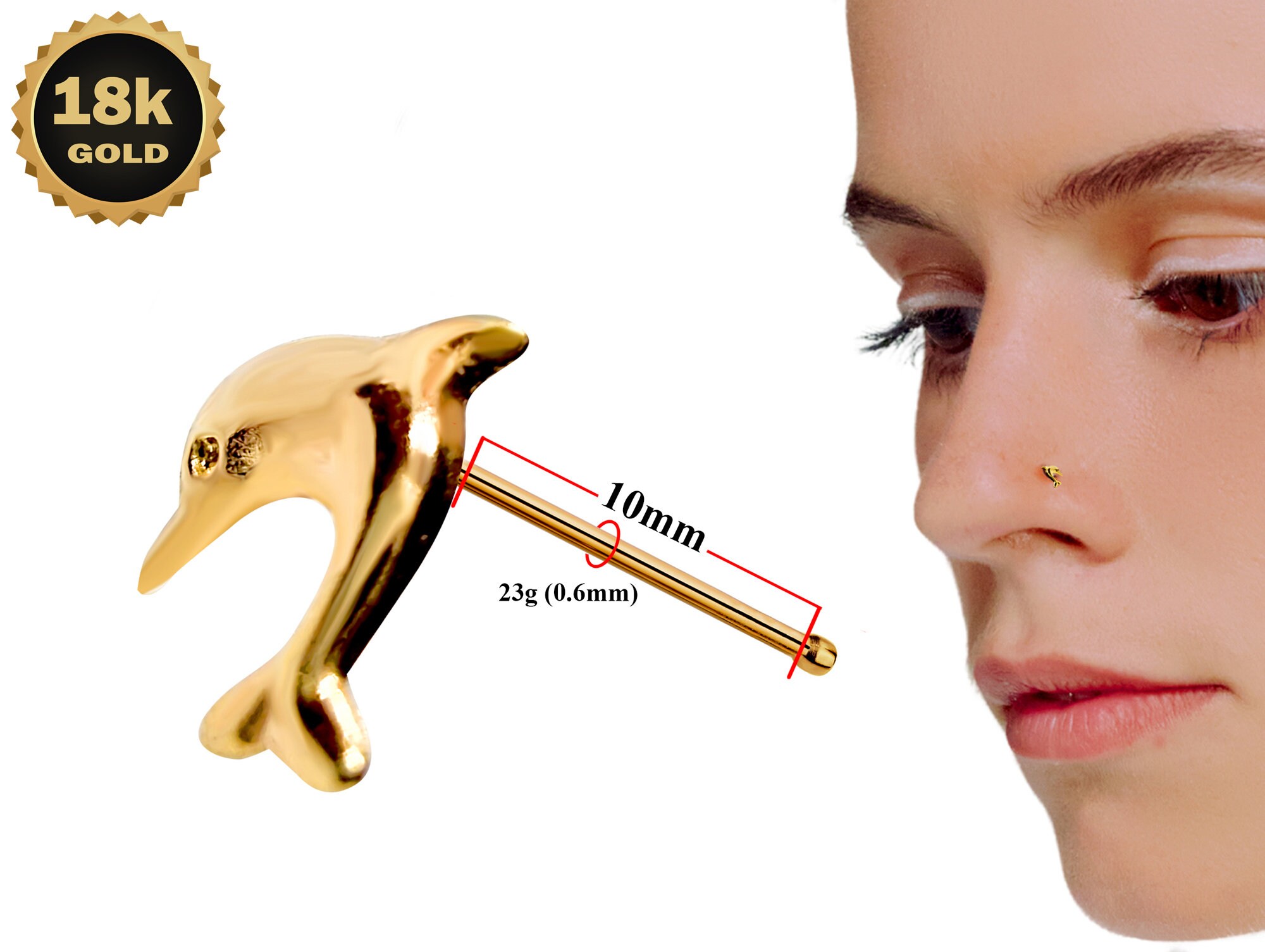 Sarah Hettinger's Instagram, Twitter & Facebook on IDCrawl