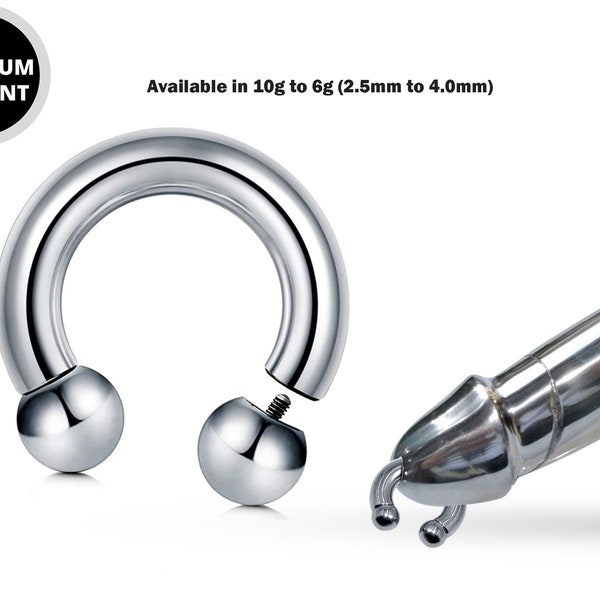 Prince Albert Chastity - Etsy