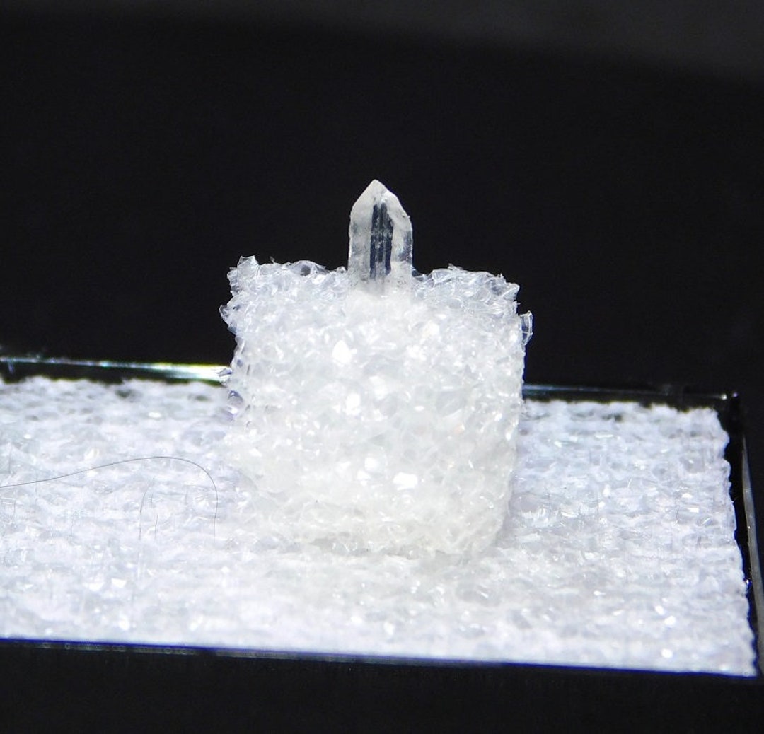 Whewellite Crystal in a Perky Box - Etsy