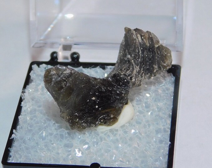 Darwins Glass Thumbnail Mineral Specimen - Etsy