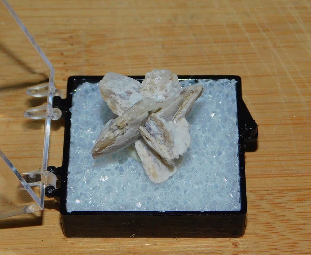 Quartz Pseudomorph After Gypsum Rose Mineral Specimen - Etsy
