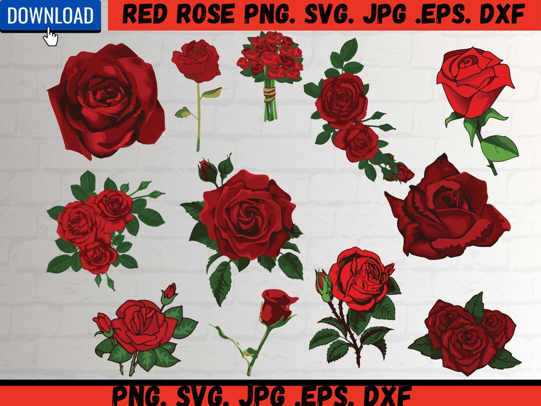 Red Rose Clipart Red Rose Svg Rose Svg Bundle Red Rose Png Bouquet Svg ...