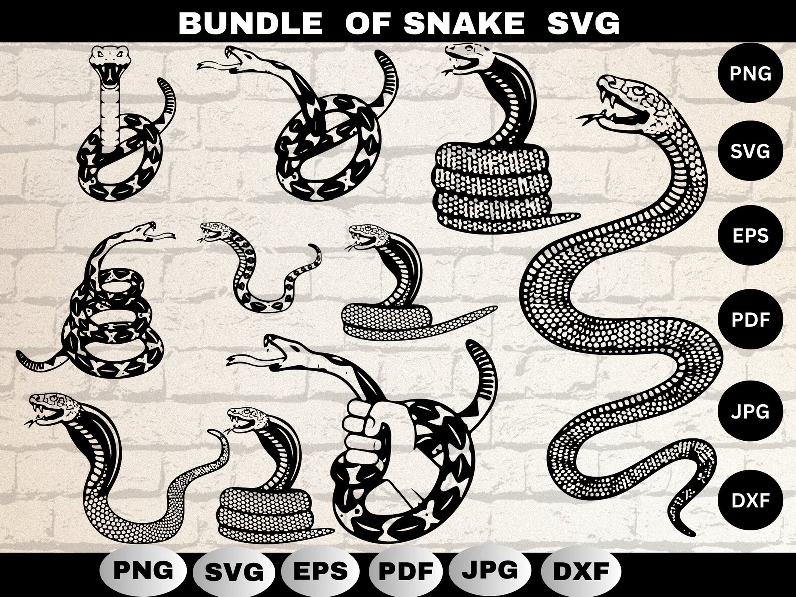 Snake Svg , Snake SVG Bundle Floral Snake SVG Celestial Snake SVG ...