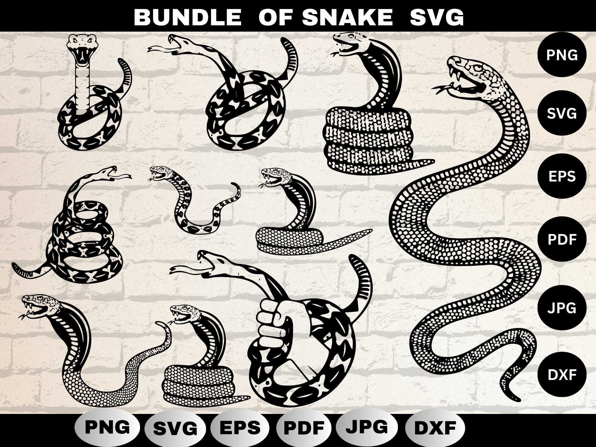 Snake Svg , Snake SVG Bundle Floral Snake SVG Celestial Snake SVG ...