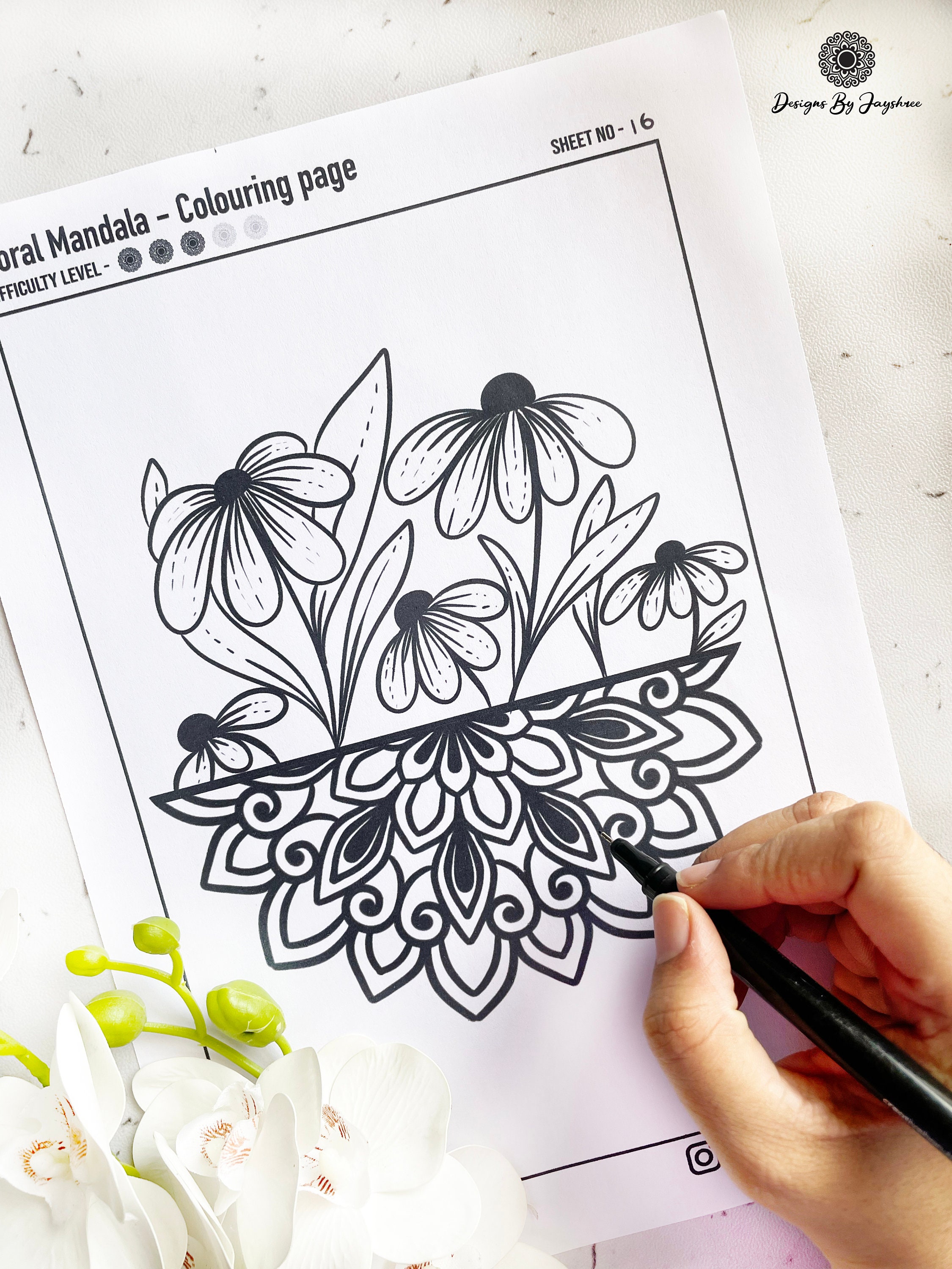 Floral Mandala Full Guide Beginners , Mandala Practice Sheets,digital ...